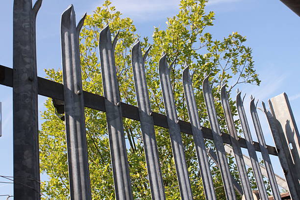 Palisade Fencing | Ivectorgroup
